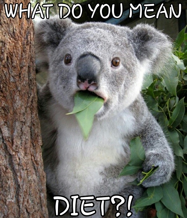 Dodging the Questions – Professor Ramos' Blog