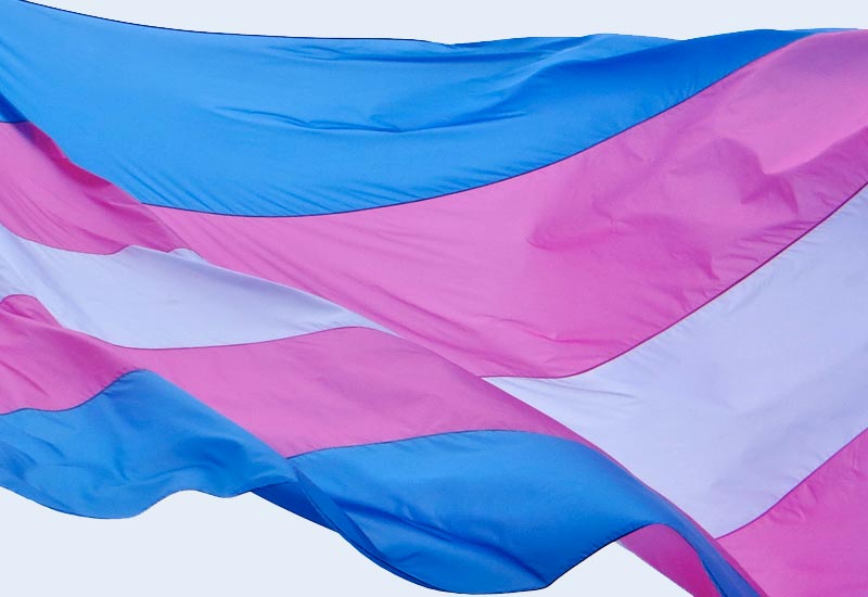 Solutions to Trans Invisibility – Professor Ramos' Blog